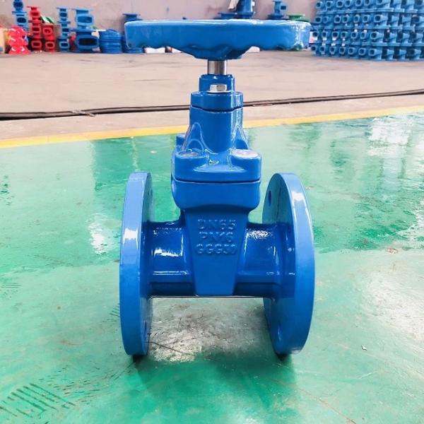 Quality Non Rising Stem Soft Seated Gate Valve Cast Iron Flange Sluice Gate Valve for sale