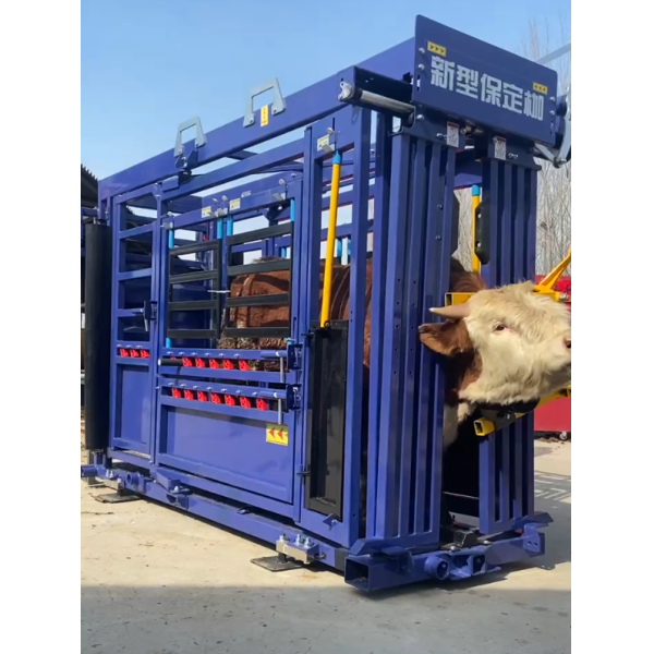 Quality Compact Design Cattle Crushing Machine Allowing Easy Installation and Space for sale