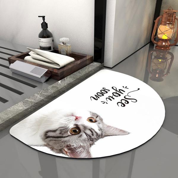 Quality Quick Drying Bathroom Washroom Absorbent Bath Mats Non Slip for sale