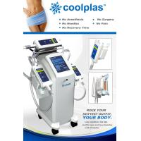 Quality FDA Approved Fat Freezing Cryolipolysis Beauty Machine No Pain for sale