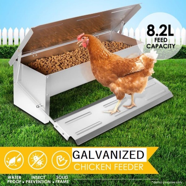 Quality CE Anti Feed Theft 5kgs Automatic Timer Chicken Feeder for sale