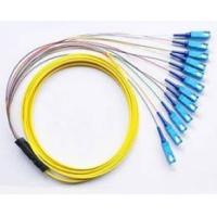 Quality 4, 6, 8, 12, 24, 48 Fibers Optional Ribbon multi-fiber Optic Pigtail for for sale