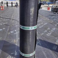 Quality Plastic APP Modified Bitumen Waterproof Membrane For Basements Foundations for sale