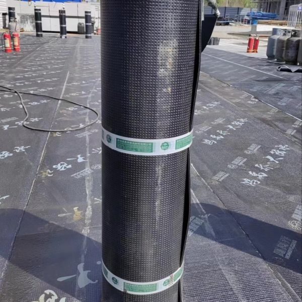 Quality Plastic APP Modified Bitumen Waterproof Membrane For Basements Foundations Tunnels for sale