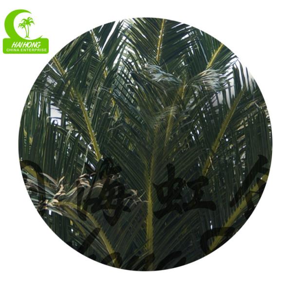 Quality Anti UV Artificial Tropical Tree for sale
