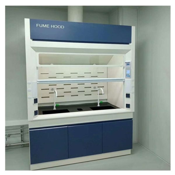 Quality SGS Certified Laboratory Layout Design Fume Hood PP Sink for Floor Mounted Structure for sale