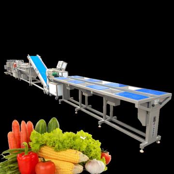 Quality Fully Automatic Fruit And Vegetable Processing Machinery 300-1000kg/h for sale
