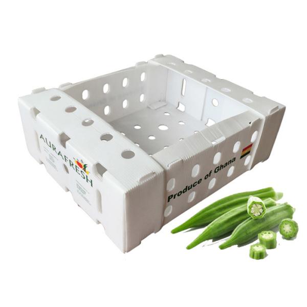 Quality 11lbs Fresh Okra PP Corrugated Plastic Packaging for sale
