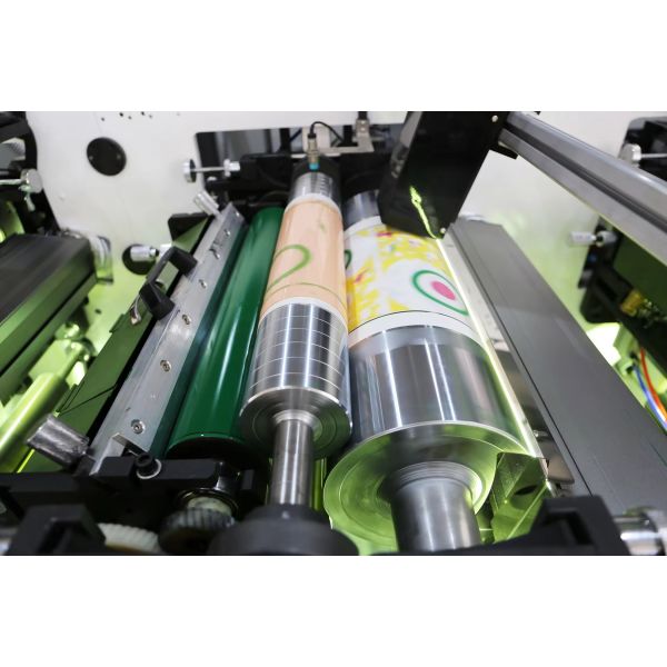 Quality High Speed Automatic 4 6 8 Color Flexo Roll To Roll Sticker Lable Printing for sale