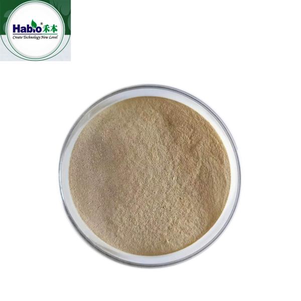 Quality Animal Nutrition Feed Additive Neutral Protease Powder 100,000U/g for sale