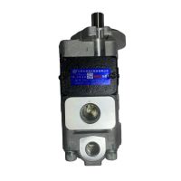 Quality CPCD80-100 Forklift Model Steel Hydraulic Pump A45E7-10202 for HELI H2000 Series for sale