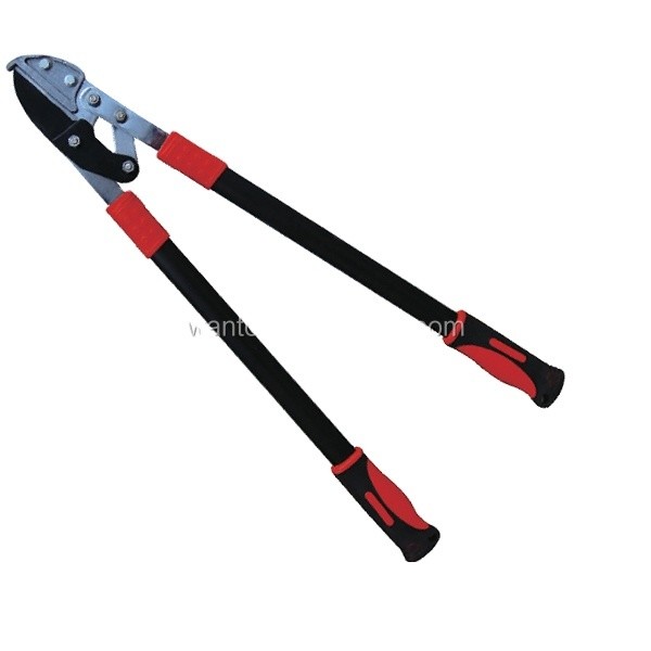 Quality Electroplate Finishing Lopping Shear Type LS3893 with ODM Support Customization for sale