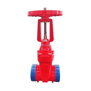 Quality Flange End Grooved Rising Stem Gate Valve Ductile Iron With Worm Gear Actuator for sale