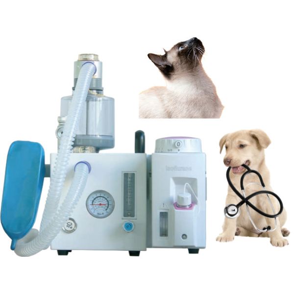DM6D Veterinary Anesthesia Ventilator Small Animal Anesthesia System ...