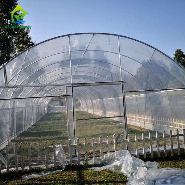 Quality Stable Structure Easily Assembled 26ft Width Poly Tunnel Greenhouse for for sale