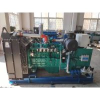 Quality Gas Turbine Bio Gas Generator, Free Energy Power Biogas Generator, Power Plant for sale