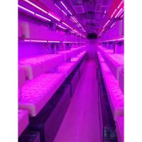 Quality Smart Grow Hydroponic Vertical Farming System Shipping Container Farm Greenhouse for sale