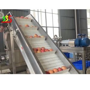 Quality 5000kg/Hour Fresh Apple Pulp Processing System Production Equipment 50Hz for sale