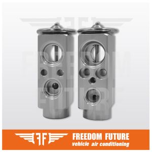 Quality 2018300784 Expansion Valve For Car AC 89-00 Mercedes Benz E S G Class for sale
