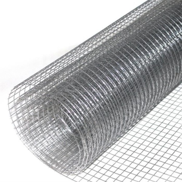 Quality Rust-Proof Galvanized Welded Wire Mesh for Lobby Guardrail and Rodent-Resistant for sale