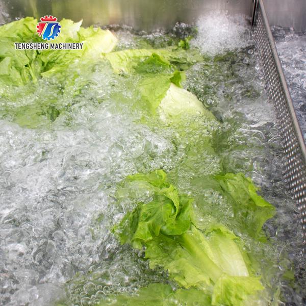 Quality 2.6KW Impurity Filter Fruit And Vegetable Washing Machine Citrus Apple for sale