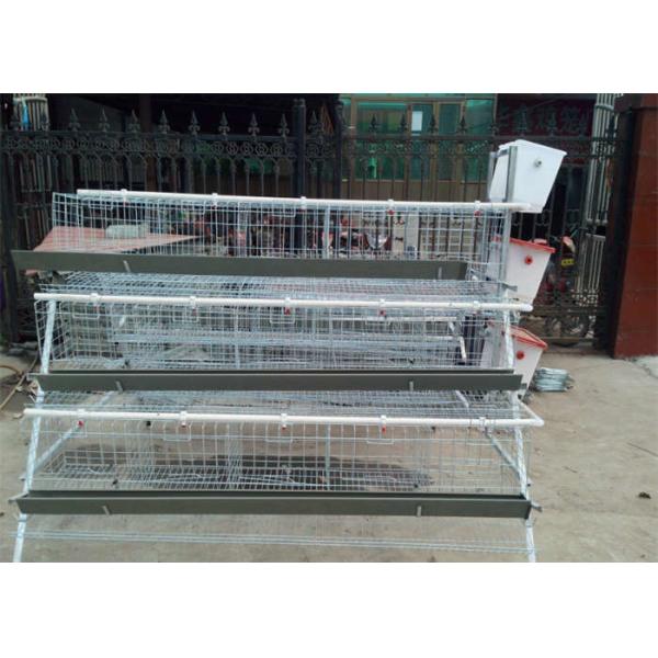 Quality 4 Tier 5 Doors Layer Chicken Cage 2300mm Width Poultry Layer Cage for sale