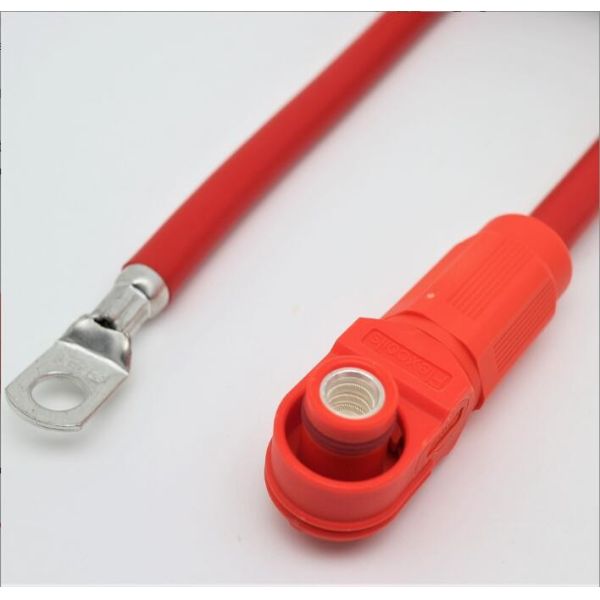Quality RoHS High Voltage Automobile Wire Harness Assembly Practical Multiscene for sale