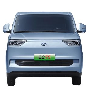 Quality 2024 Ruichi Electric Vans And Trucks Small Cargo Vans EC75 Electric Commercial for sale