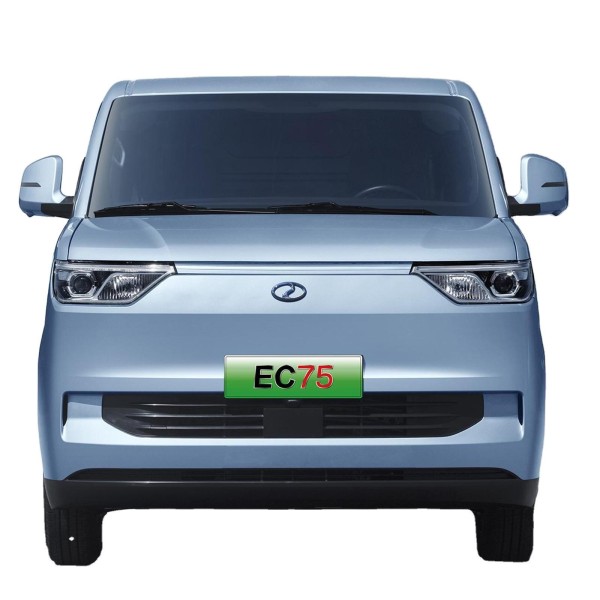 Quality 2024 Ruichi Electric Vans And Trucks Small Cargo Vans EC75 Electric Commercial Luxury Minivan for sale