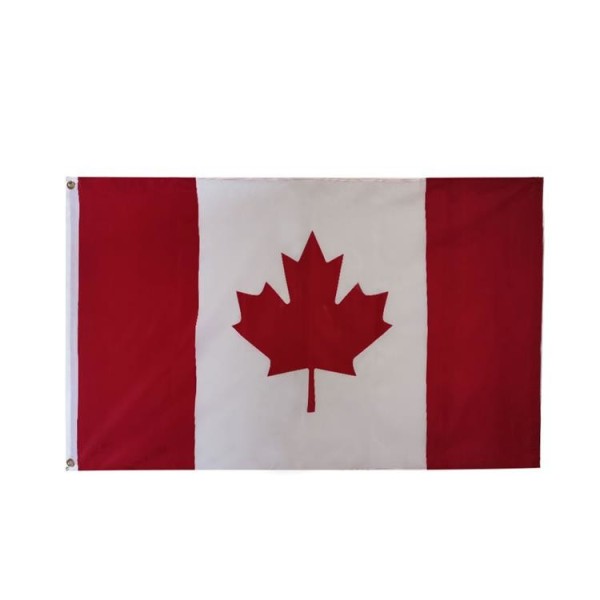 Quality Pantone Polyester World Flags Hanging Style Romania Country Flag for sale