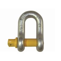 China D Shackles Lifting Tools With Electric Galvanized Surface Finish Up To 120 ton factory