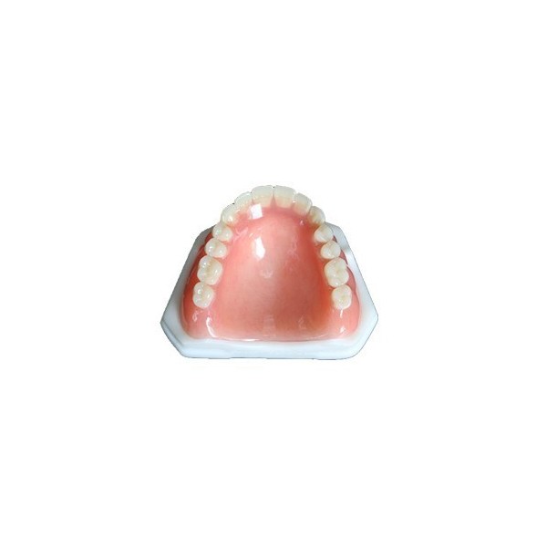 Quality Removable All Acrylic Partial Denture Natural Looking Easy To Maintain for sale