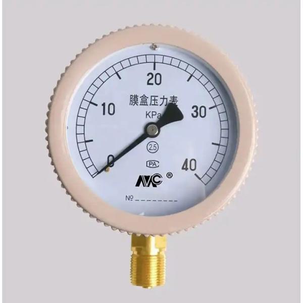 Quality YE-100 Diaphragm Pressure Gauge Sensor 0-40kpa Easy Installation for sale