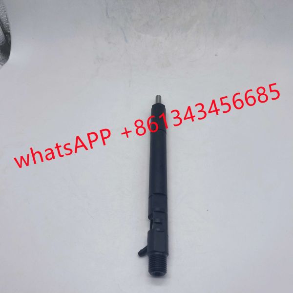 Quality EJBR02901D Delphi Diesel Fuel Injectors for sale