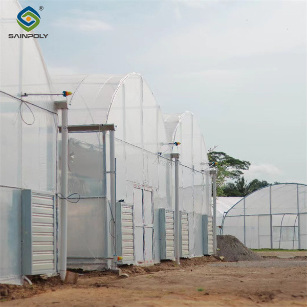 Quality Galvanized Steel Frame Multispan Greenhouse 30-100m Length Customized Size for sale