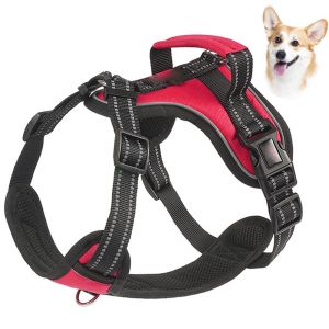 Quality Personalized Reflective Explosion-Proof Leash for Medium and Large Dogs at for sale