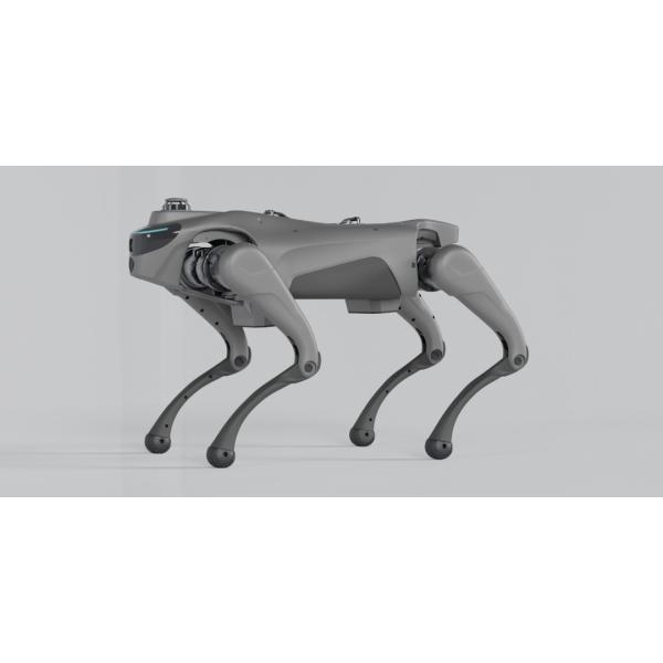 Quality Intelligent Robot Dog With 2D LiDAR L1 Automatic Telescopic Handle Strap For for sale