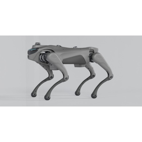 Quality Intelligent Robot Dog With 2D LiDAR L1 Automatic Telescopic Handle Strap For Autonomous Navigation And Mapping for sale