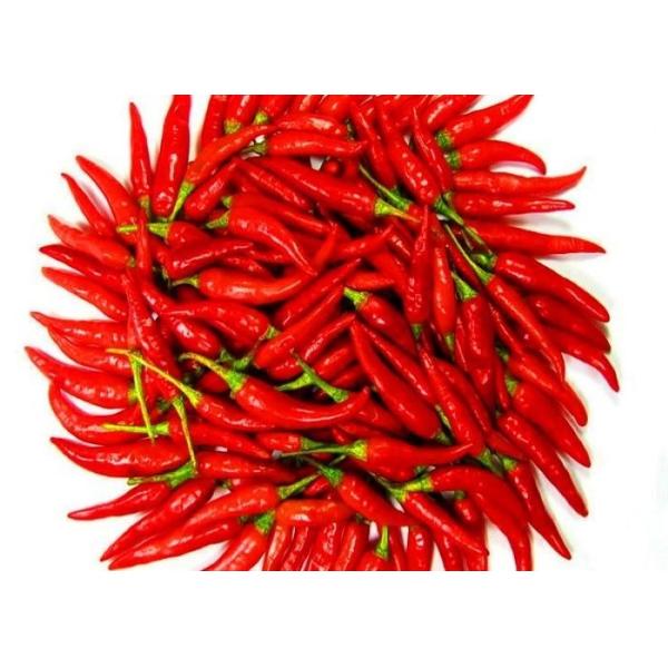 Quality GMP Dried Birds Eye Chilli Peppers Chinese With Seeds 15000SHU for sale