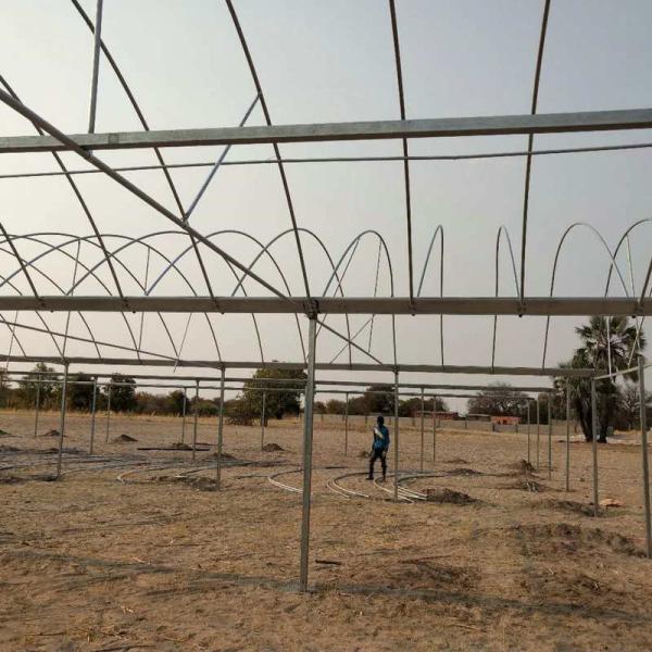 Quality Namibia Africa Gutter Connected Greenhouse with Optimal Ventilation and Single for sale