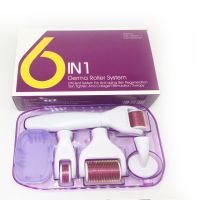 Quality Derma Rolling System and Needle Material Stainless Steel / Titanium 6 In 1 Derma for sale