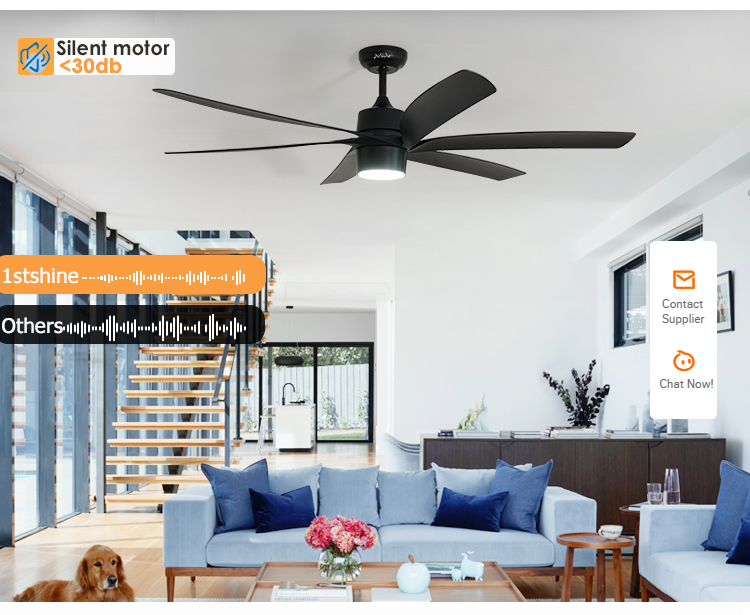 ceiling fan