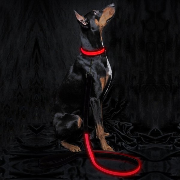 Quality Neoprene Padding Reflective Light Up Dog Lead Safe For Night Walking for sale