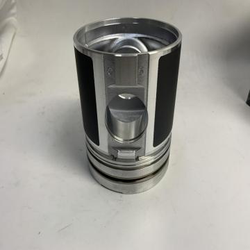 Quality D1146 Kit Engine Piston 65.02501-0507 Applicable To Doosan D1146T for sale