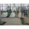 Quality Commercial Aeroponics Hydroponic System For Greenhouse Vegetables Growing for sale
