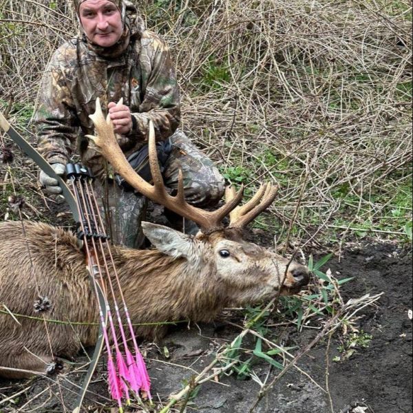 Quality Easton Vector .165