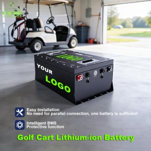 Quality CTS 36V 48V 72V 100Ah 200Ah LiFePO4 Golf Cart Battery for Electric Golf Cart for sale