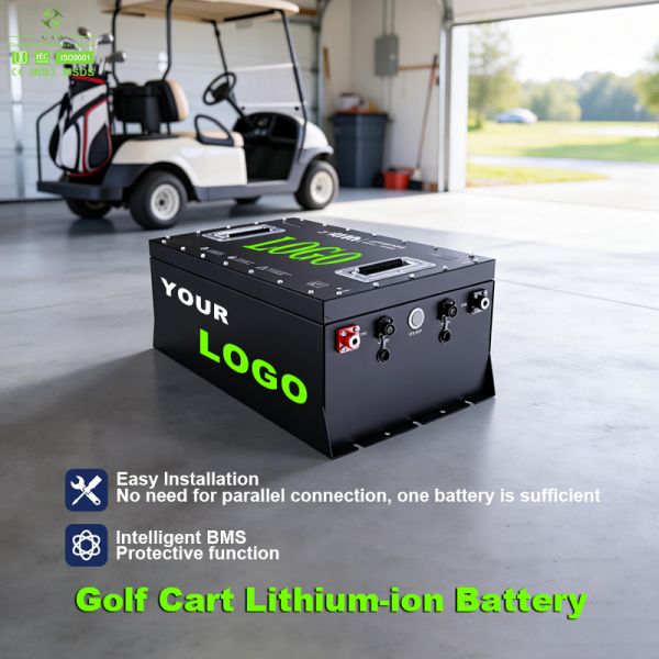 Quality  CTS 36V 48V 72V 100Ah 200Ah LiFePO4 Golf Cart Battery for Electric Golf Cart and LSV for sale