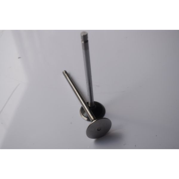 Cummins Engine Parts - QSB6.7 6D107 Engine Exhaust Valve 3802924 ...