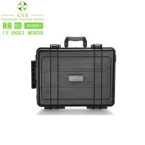 Quality CTS DC 48V AC 110V Lithium Portable Power Station For Camping for sale